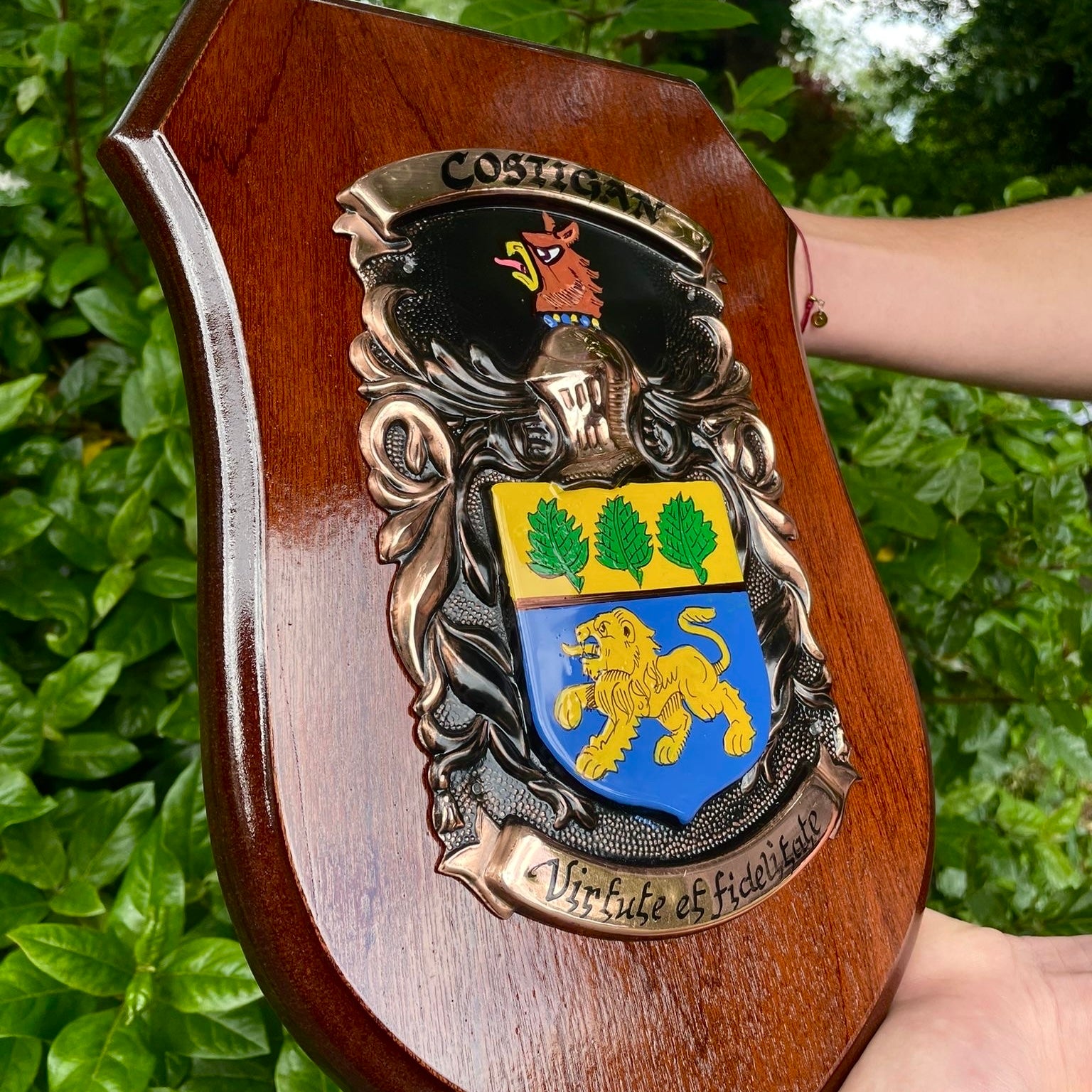 Family Shields & Irish Coat of Arms | Gifts of Ireland