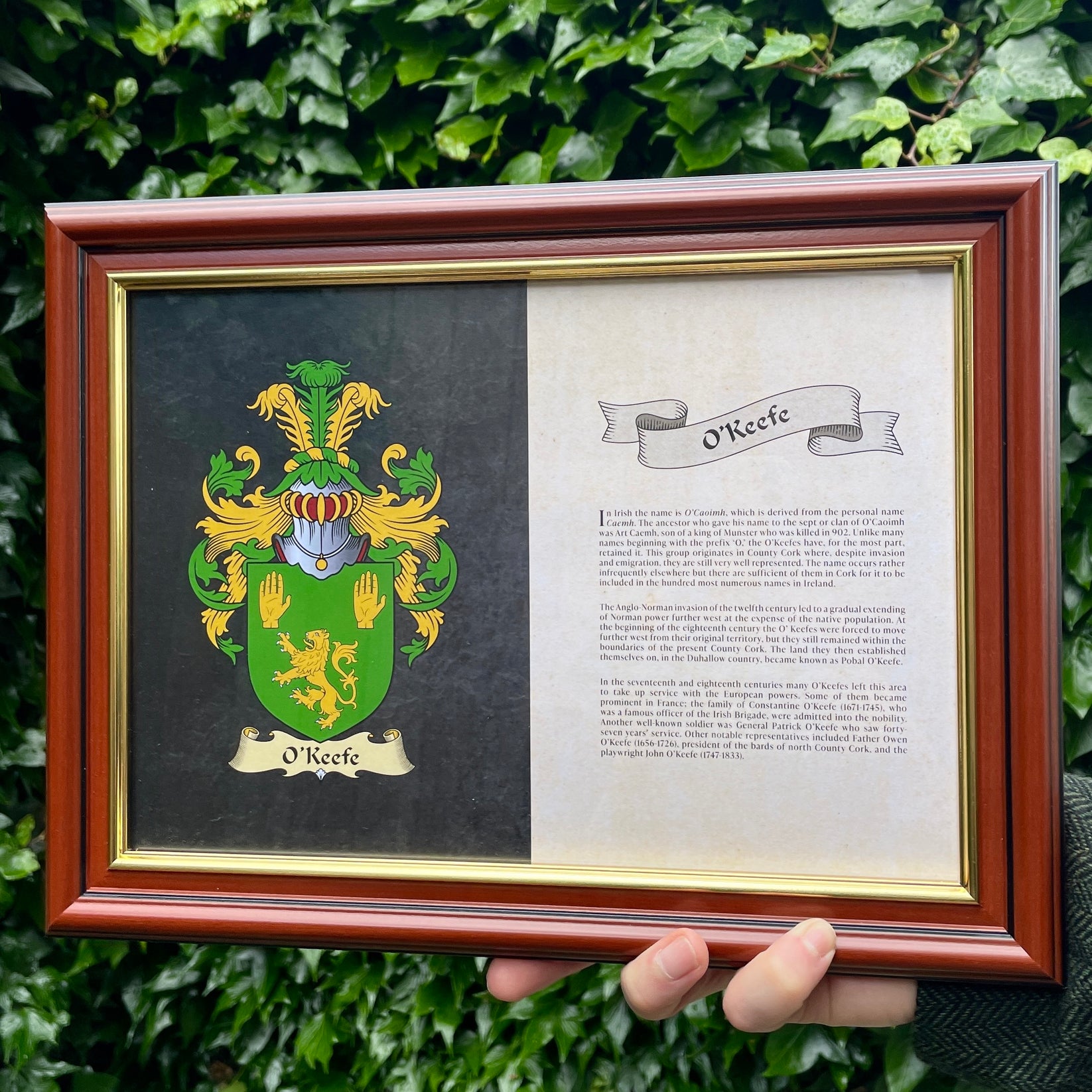Family Crest Story Parchment