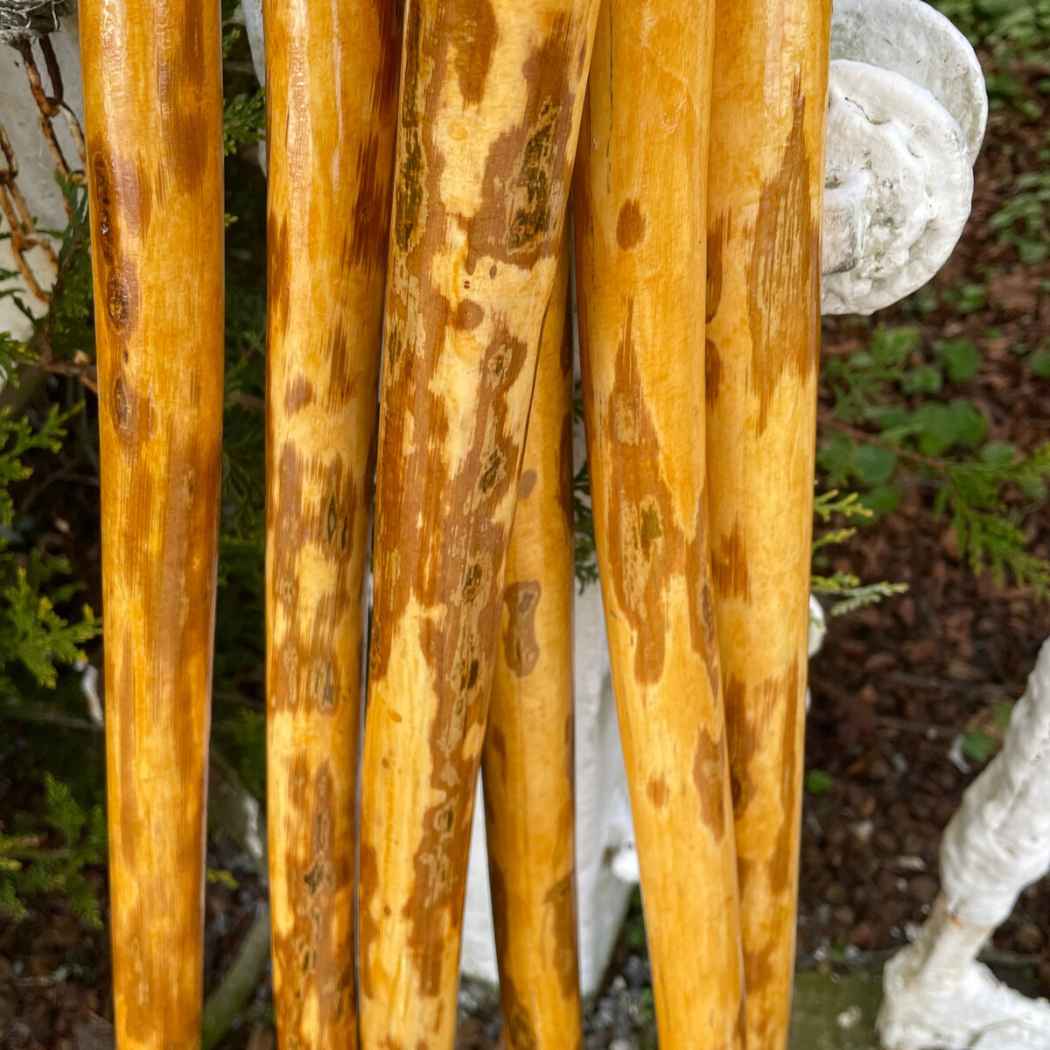 Irish Shillelagh Walking stick