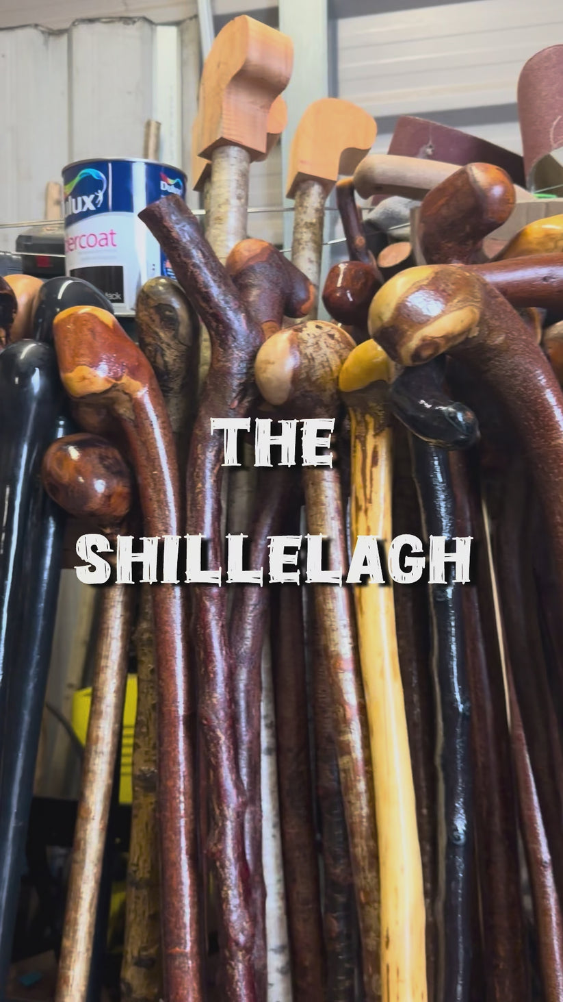 Authentic Irish Shillelagh | Gifts of Ireland