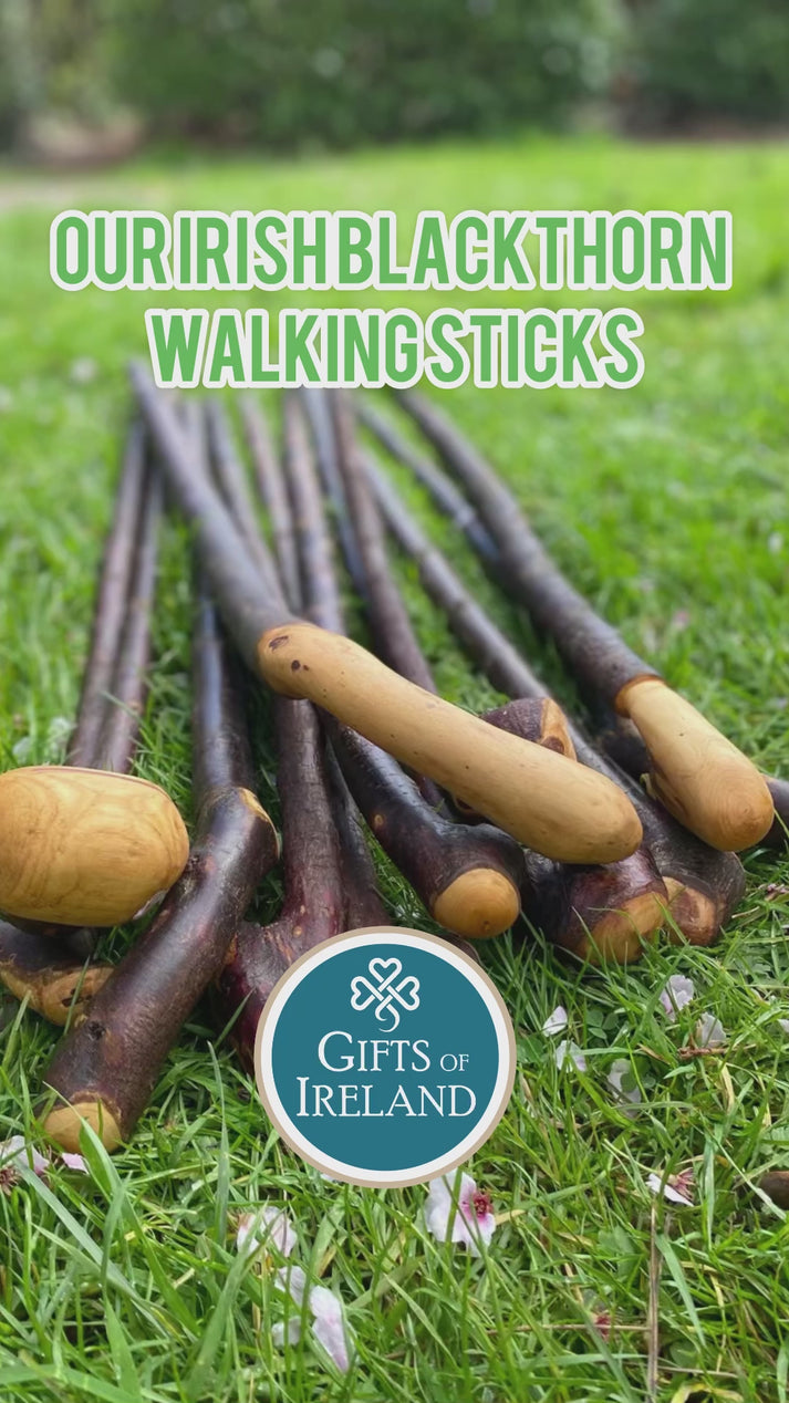 Irish Blackthorn Walking Stick Shillelagh