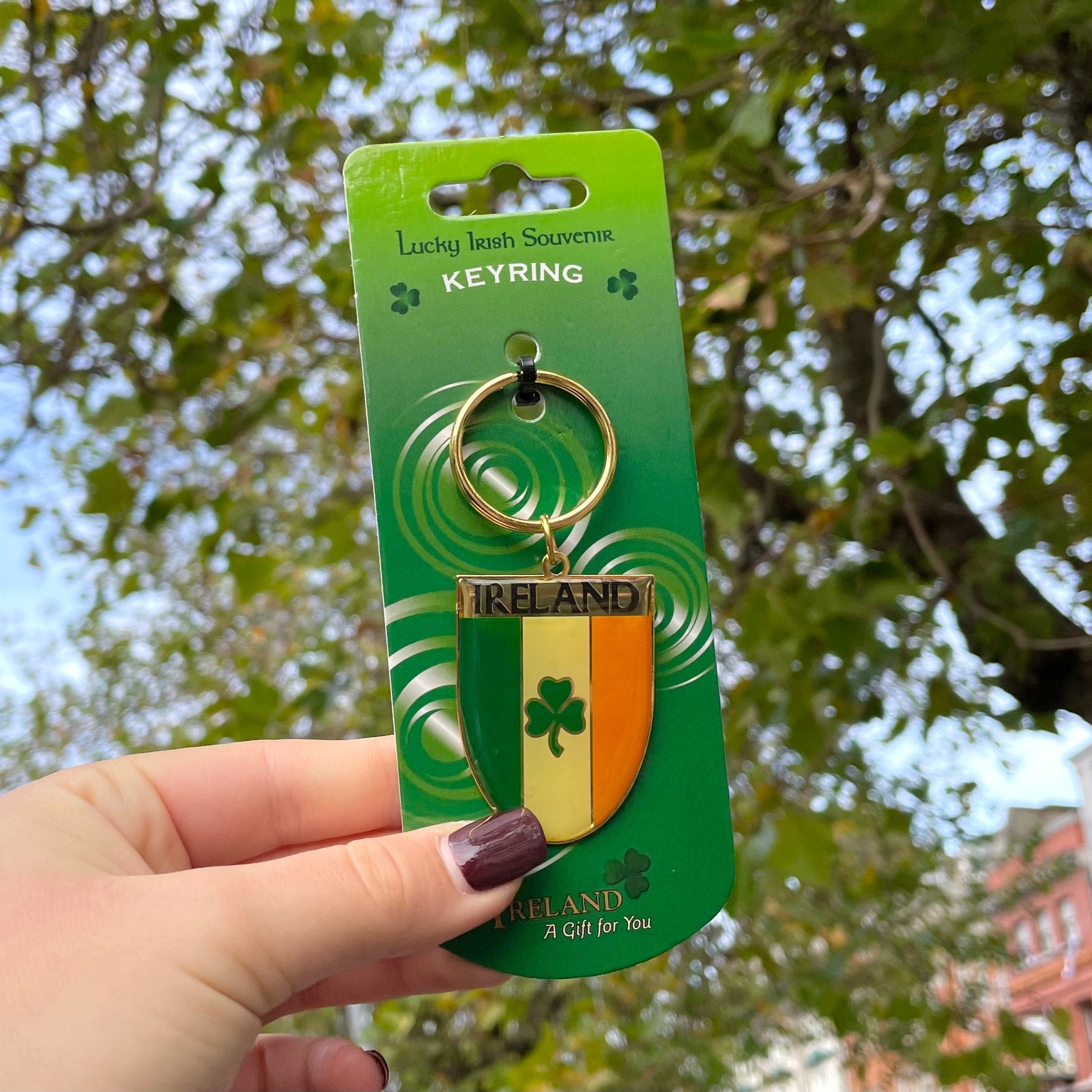 Ireland Flag Keyring Keychain | Gifts of Ireland